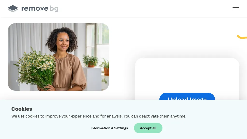 Remove.bg - LookAITools